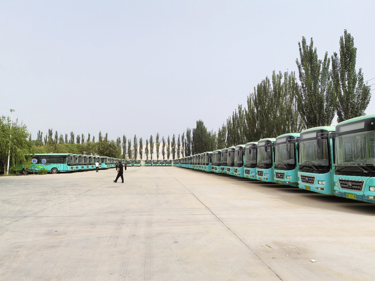 Fuel Type Diesel 8 Meter LHD Used City Bus With Five-speed Transmission